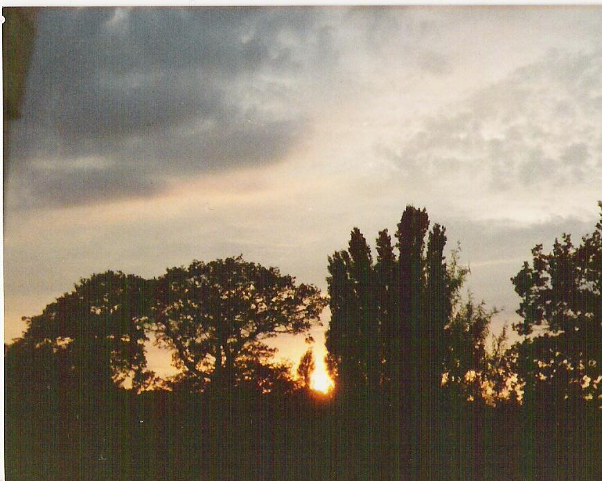 Red Puffin – Elaine Graham-Leigh